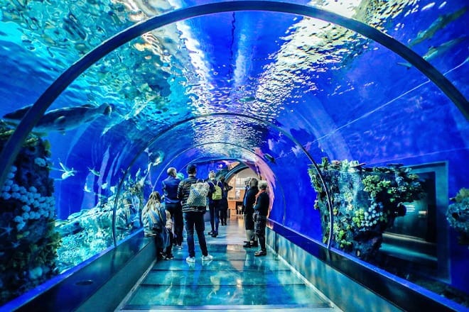 SEA LIFE at Mall of America