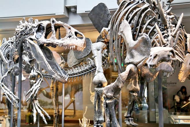 Sam Noble Oklahoma Museum of Natural History