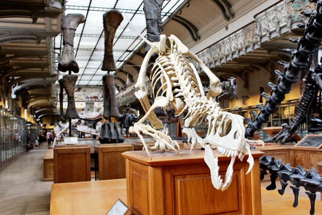 Science Museum of Minnesota