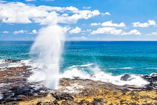 See The Spouting Horns