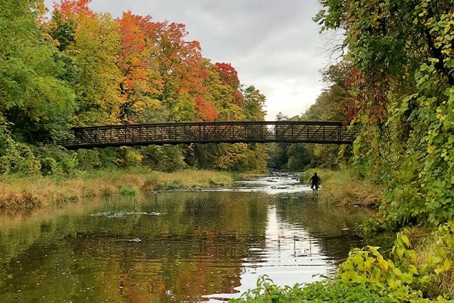 Stevensville Conservation Area