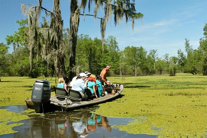 The Last Wilderness Swamp Tour
