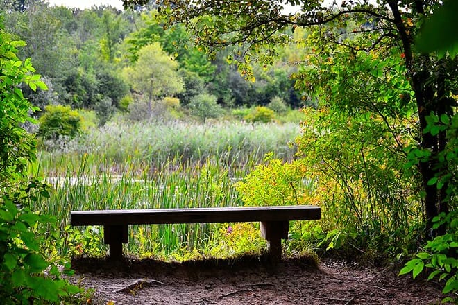 Woodland Hills Nature Park