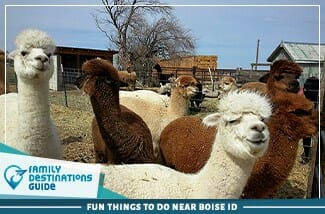 Fun Things To Do Near Boise Id