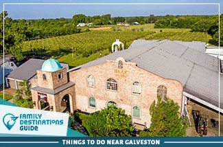 Things To Do Near Galveston