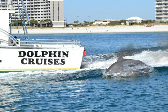 Alabama Gulf Coast Dolphin Cruise