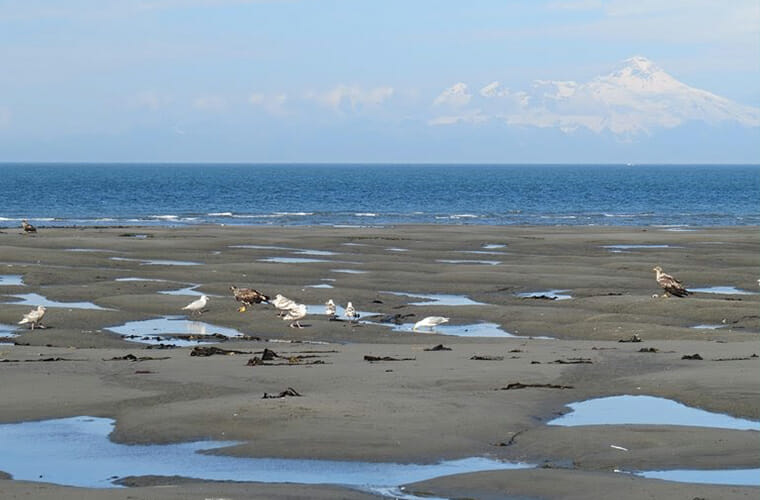 Anchor River State Beach — Kenai