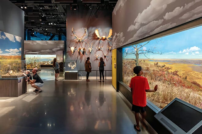 Bell Museum Of Natural History &mdash; St. Paul