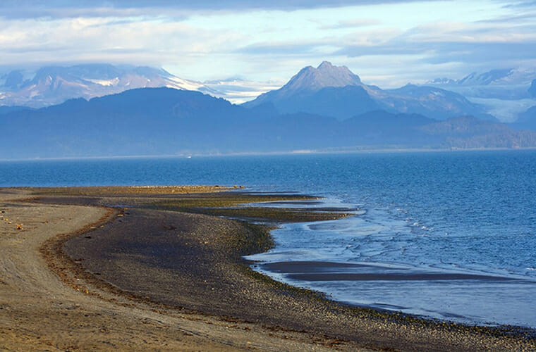 Bishop’s Beach — Homer