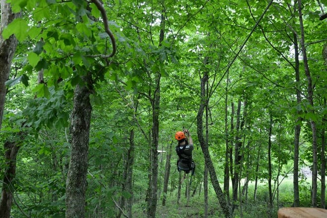 Boone Creek Gorge Zipline Tour &mdash; Lexington