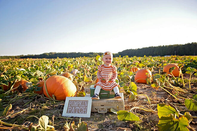 Councell Farms &mdash; Cordova