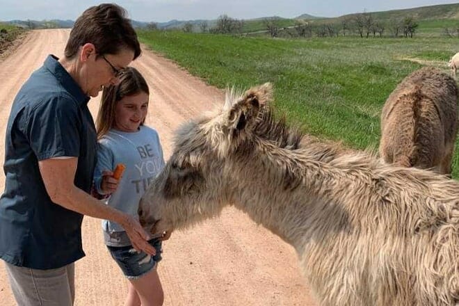 Custer State Park Jeep Safari Tour &mdash; Custer