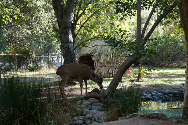 Effie Yeaw Nature Center