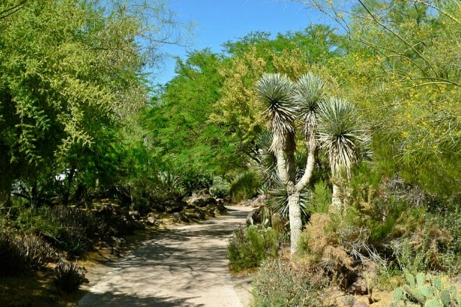 Ethel M Chocolates and Botanical Cactus Garden