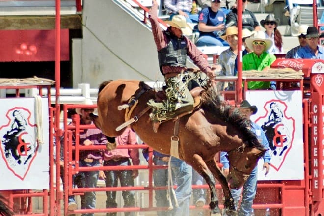 Frontier Days Rodeo