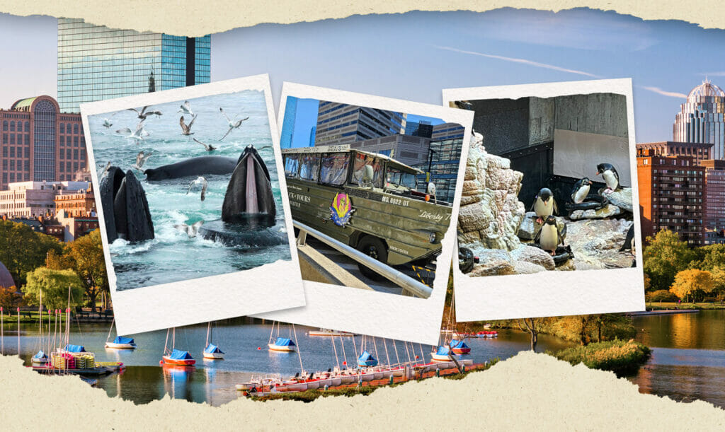 fun things to do in massachusetts with kids travel photo