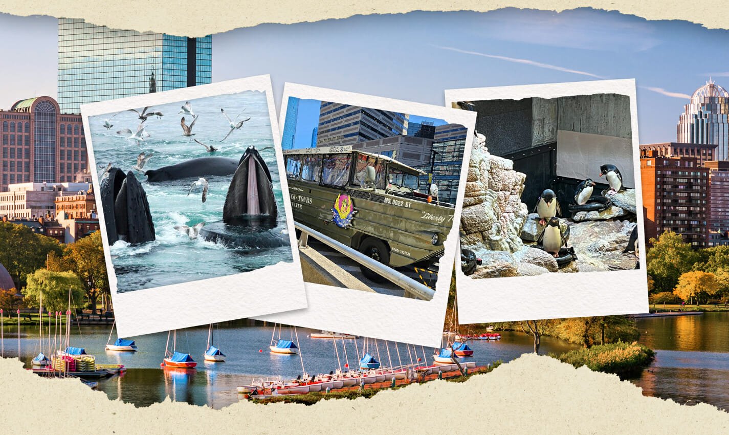 fun things to do in massachusetts with kids travel photo