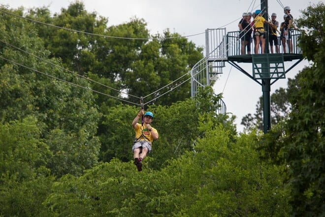 Gators and Friends &mdash; Greenwood