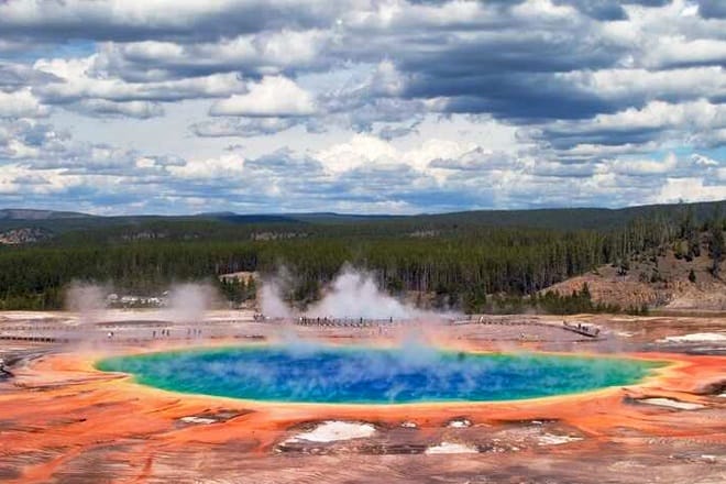 Grand Teton and Yellowstone Wildlife Tour