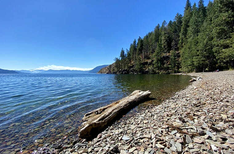 Green Bay Campground Beach &mdash; Sagle