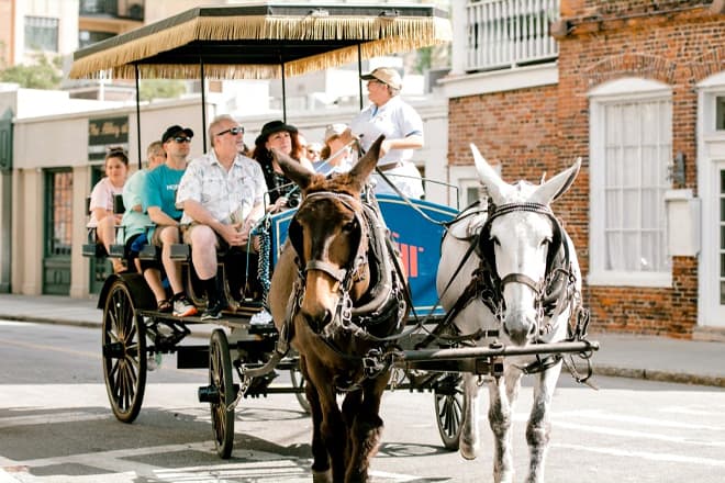 Historic District Carriage Tour &mdash; Charleston