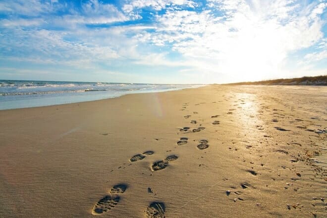 Huntington Beach State Park &mdash; Murrells Inlet