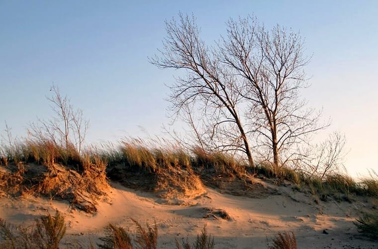 Indiana Dunes National Park