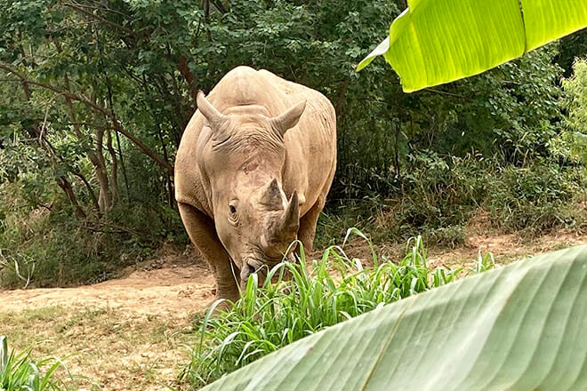 Jackson Zoo &mdash; Jackson