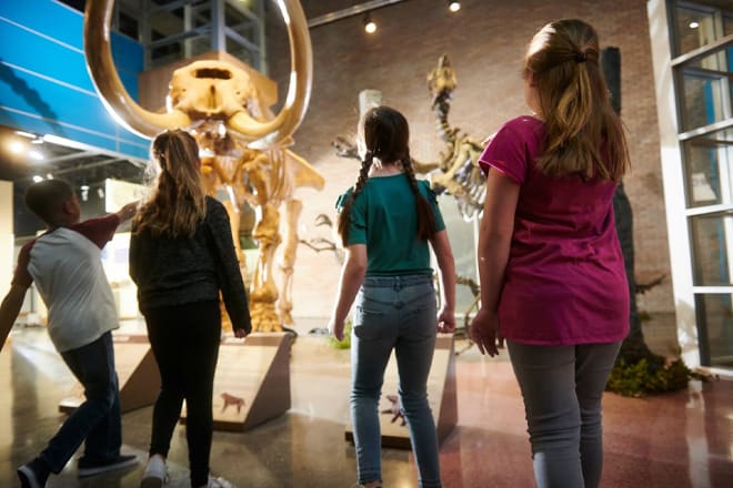 Lafayette Science Museum &mdash; Lafayette