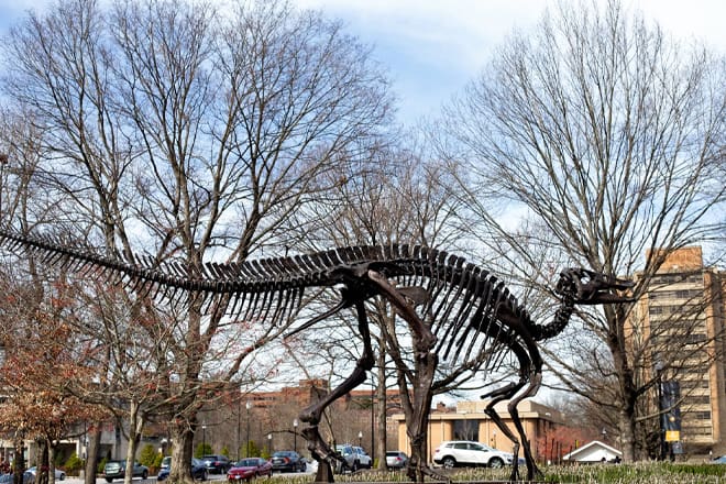 McClung Museum of Natural History and Culture