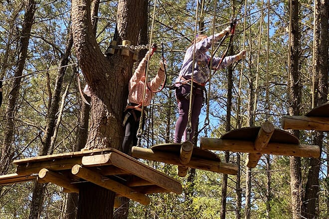 Morning Aerial Adventure — Riegelwood