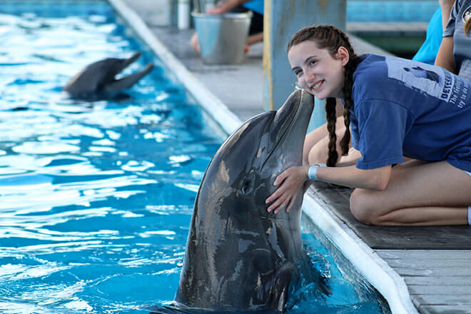 Ocean Adventures Marine Park &mdash; Gulfport