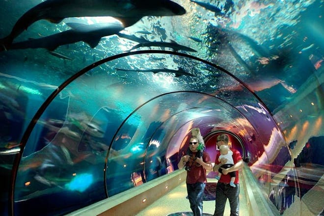 Oregon Coast Aquarium &mdash; Newport