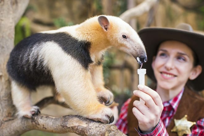 Point Defiance Zoo & Aquarium — Tacoma