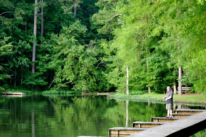 Roosevelt State Park &mdash; Morton