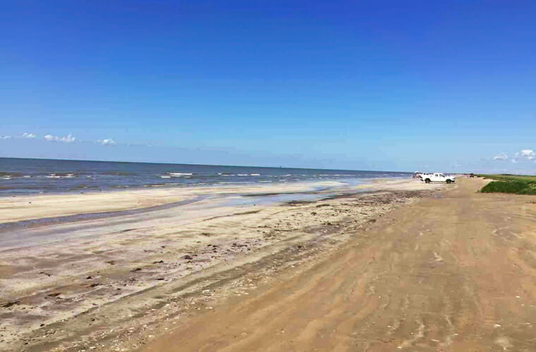 Sea Rim State Park Beach — Sabine Pass
