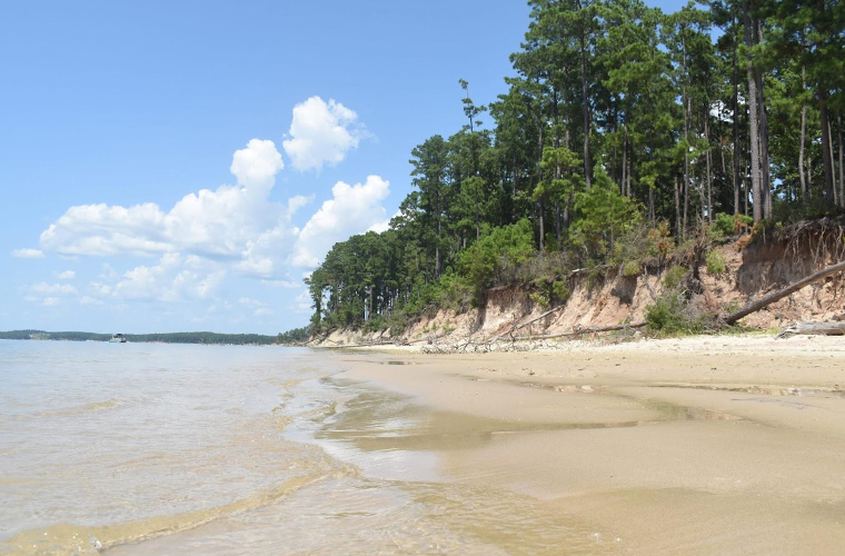 South Toledo State Park Beach &mdash; Anacoco
