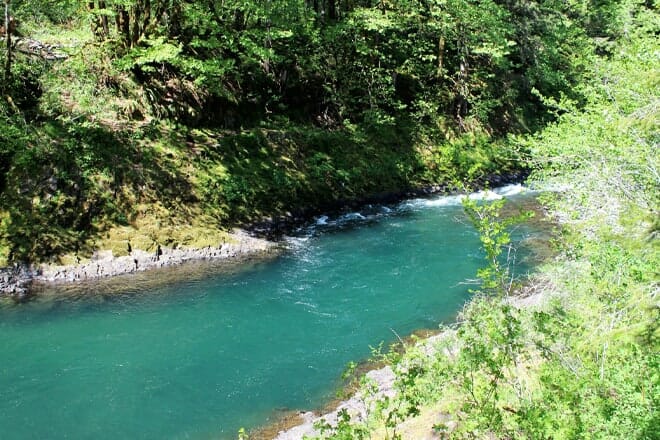 Tillamook Forest Center &mdash; Tillamook