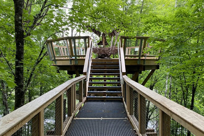 Vermont Institute of Natural Science (VINS)