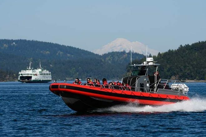 Whale Watching Excursion — San Juan Islands