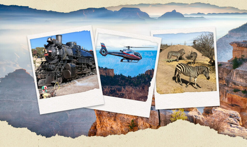 fun things to do in arizona with kids travel photo