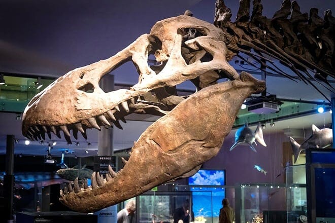 Agate Fossil Beds National Monument &mdash; Harrison