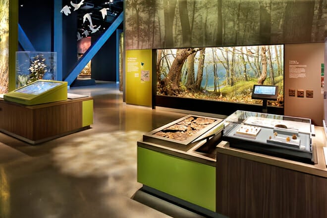 Bell Museum &mdash; University Of Minnesota