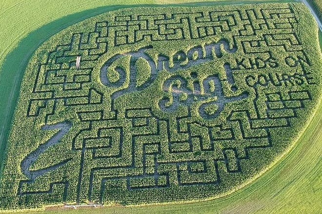 Bloomsbury Farm &mdash; Atkins