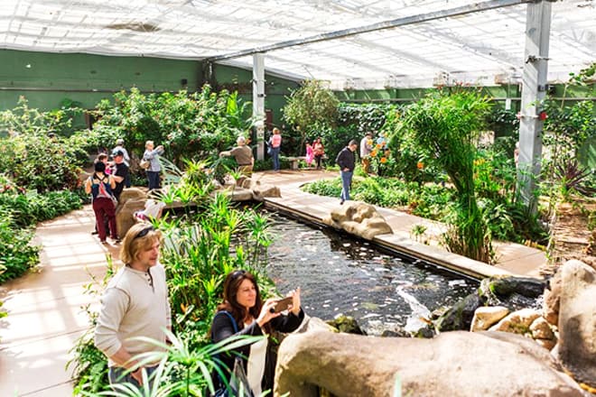 Butterfly Wonderland &mdash; South Scottsdale