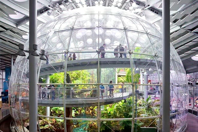 California Academy Of Sciences — San Francisco