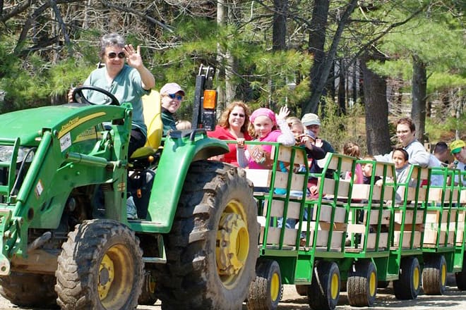 Charmingfare Farm &mdash; Candia