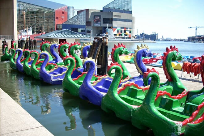 Chessie Dragon Paddle Boats &mdash; Downtown Baltimore