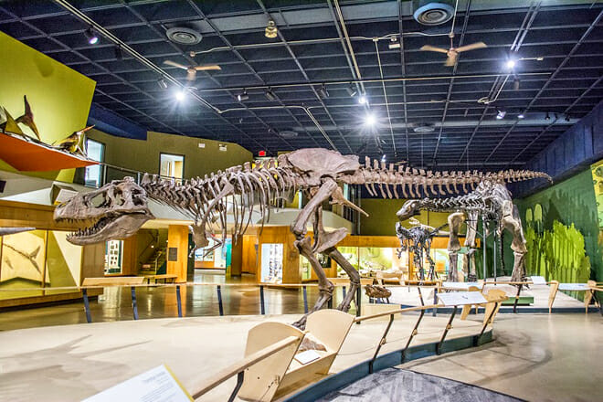 Cleveland Museum Of Natural History &mdash; East Side