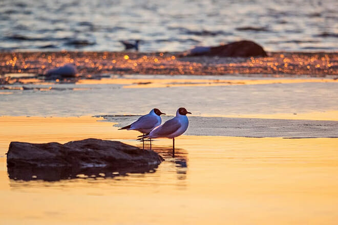 Crystal Beach &mdash; Bolivar Peninsula